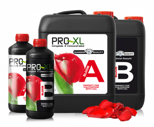 Bloom – Pro-xl Complete & Concentrated