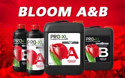 bloom-ab – Pro-xl Complete & Concentrated