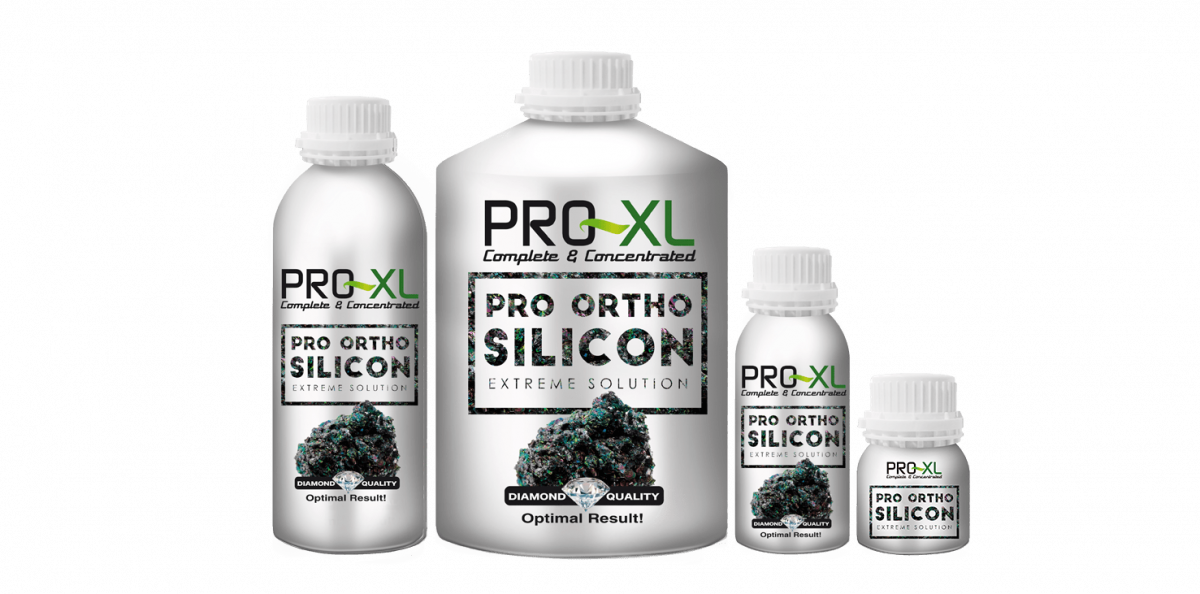 Pro Ortho Silicon – Pro-xl Complete & Concentrated