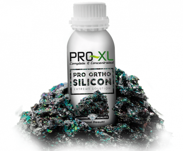 Pro Ortho Silicon – Pro-xl Complete & Concentrated