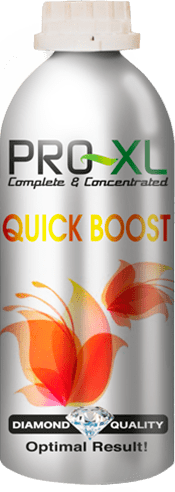 quick-boost-paso – Pro-xl Complete & Concentrated